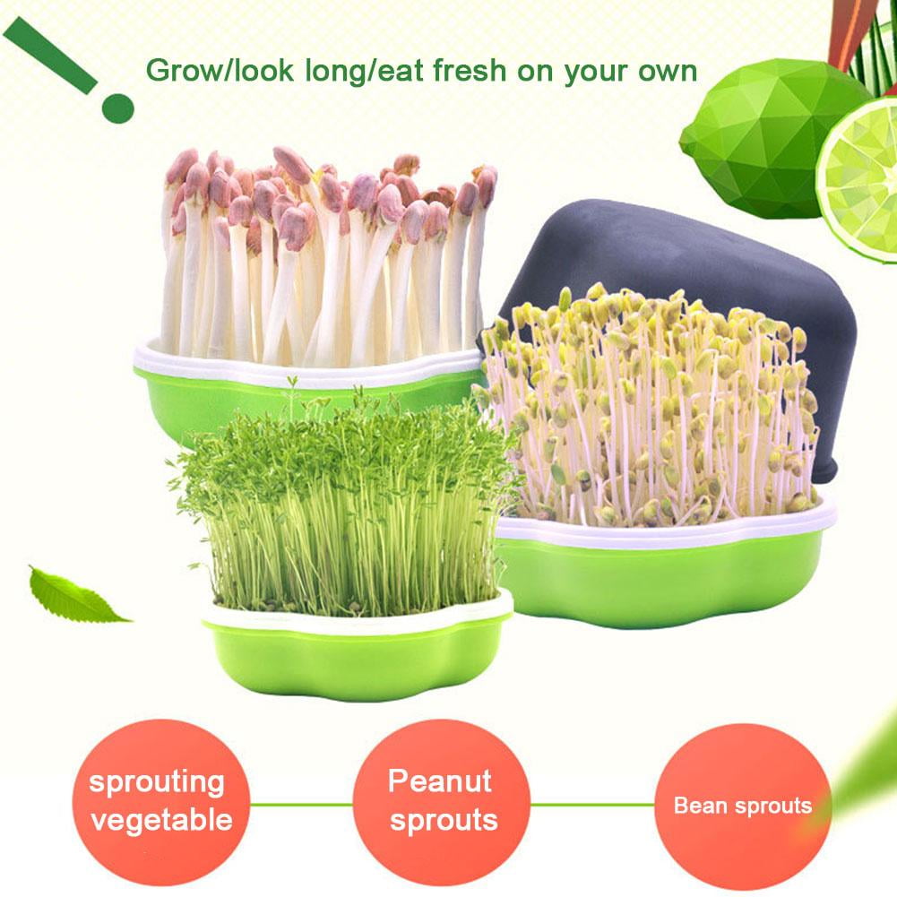 Ruifaya Garden Hydroponic Peanut Sprout Box Bean Pea Wheat Seedling ...