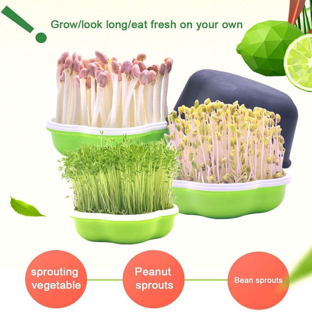 Ruifaya Garden Hydroponic Peanut Sprout Box Bean Pea Wheat Seedling ...