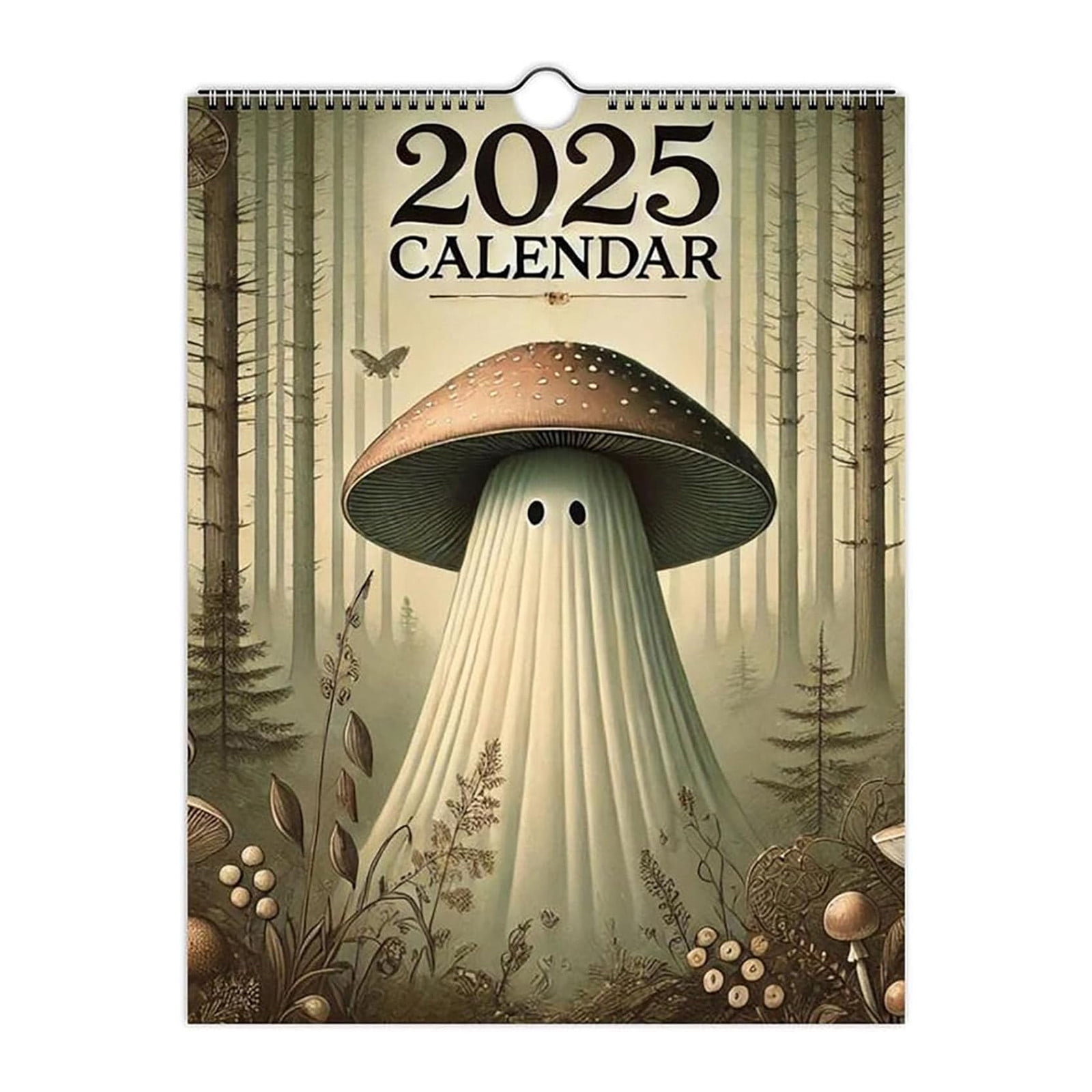 Rukui 2025 Calendar 12 Month Planner with Illustrations Poster Calendar ...