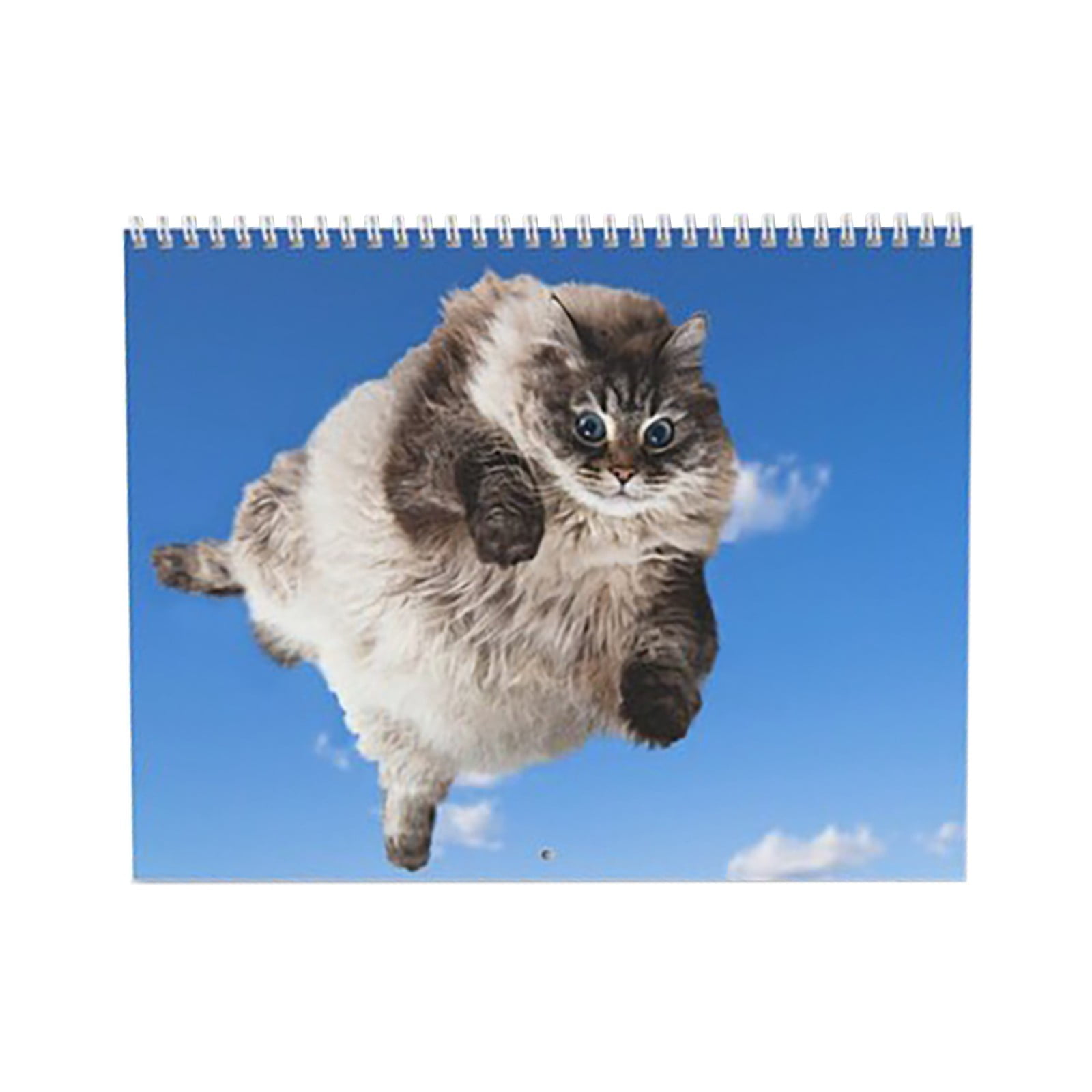 Rukui 2025 New Funny Cat Calendar Creative Fun Home Decor Time Tool ...