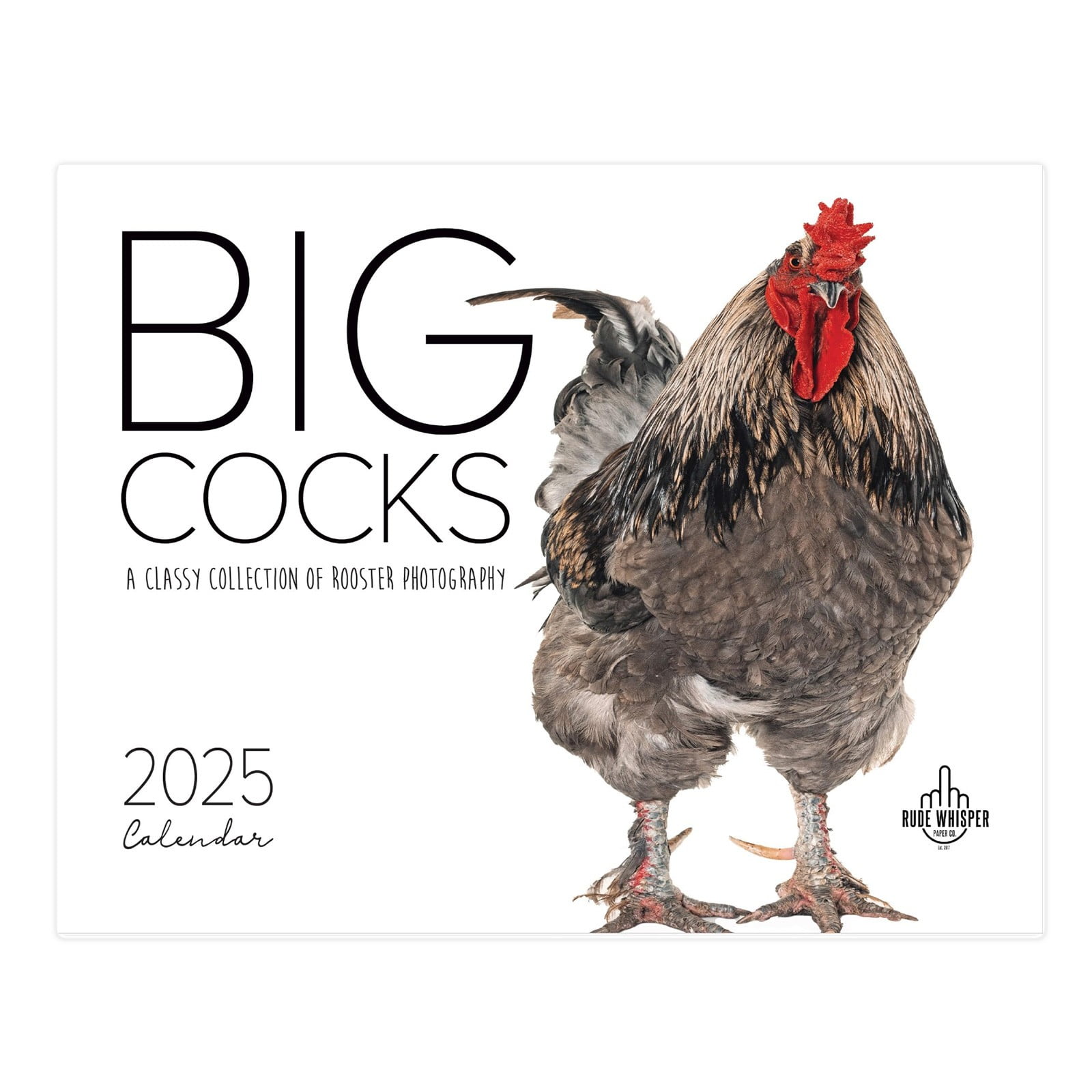 Rukui Chicken Calendar 2025 Rooster 12 Month Funny Wall 29x21cm Rude ...