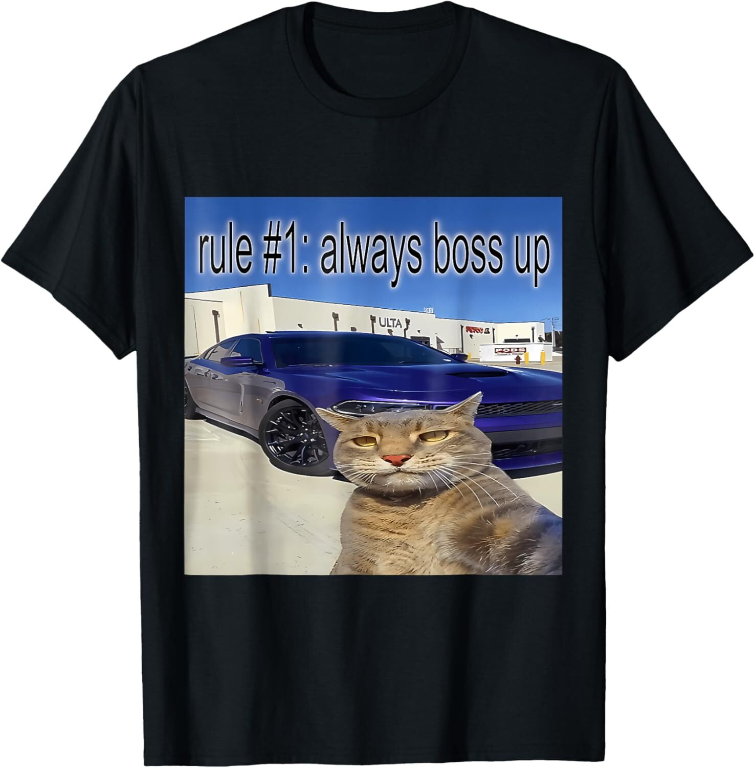 Rule 1 Always Boss Up Funny Cat Oddly Specific Dank Meme T-Shirt - Walmart.com