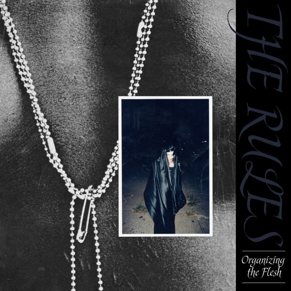 Rules - Organizing The Flesh - Music & Performance - Vinyl - Walmart.com