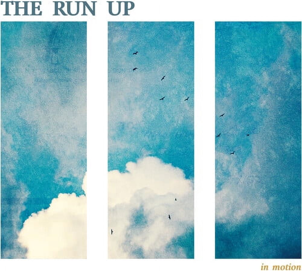 Run Up - In Motion - Music & Performance - Vinyl - Walmart.com