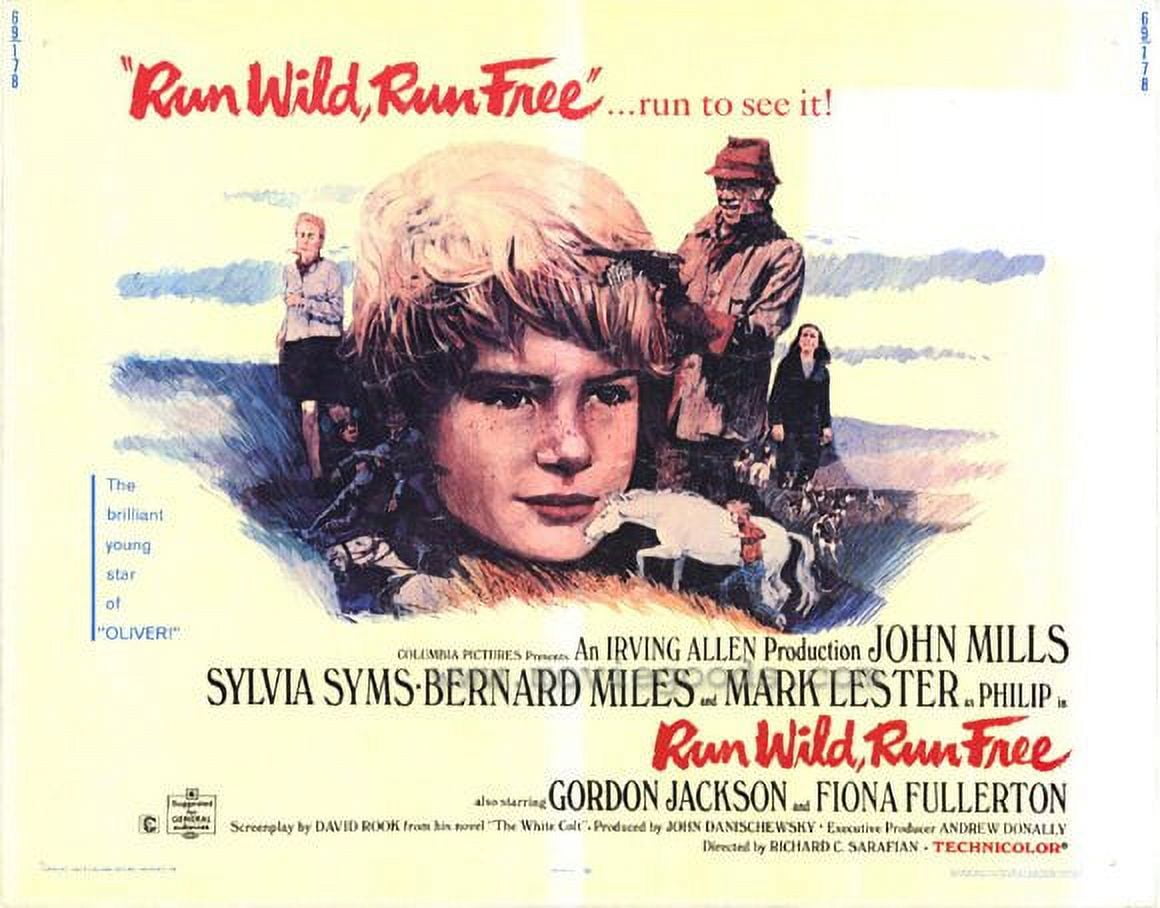 Run Wild Run Free - movie POSTER (Style A) (11" x 14") (1969) - Walmart.com