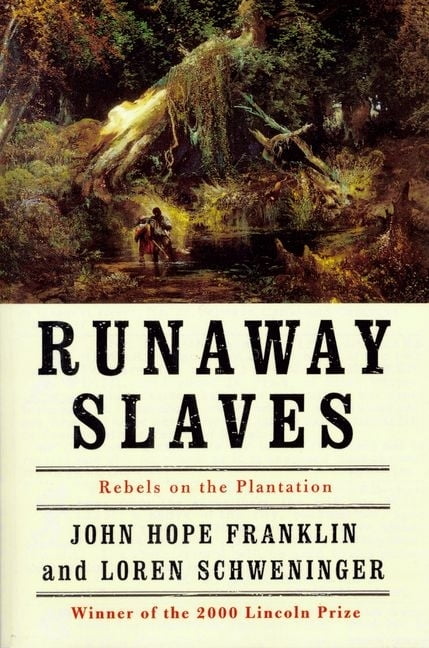 Runaway Slaves: Rebels on the Plantation, (Paperback) - Walmart.com