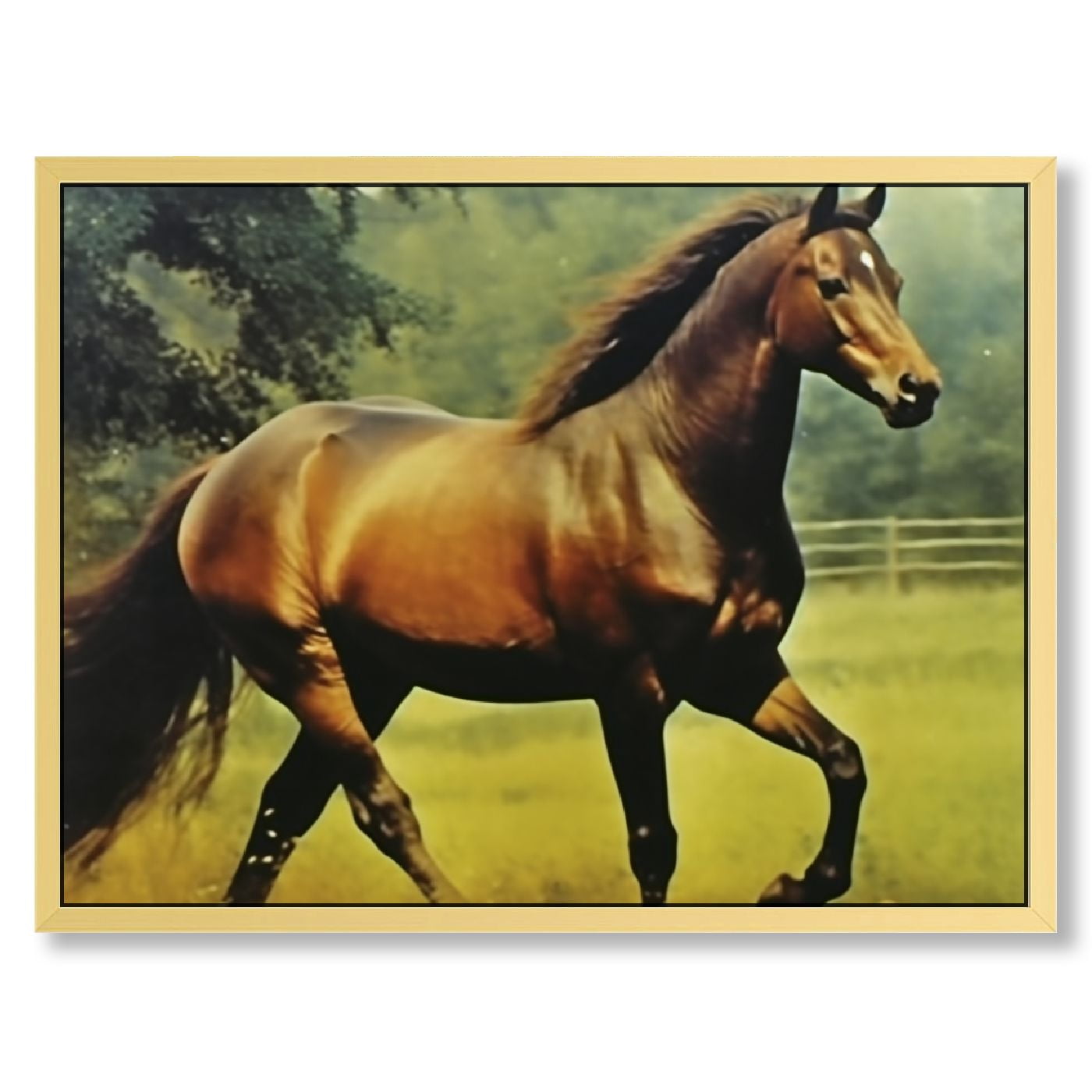 Running Arabian Mare Horse Wild Animal Art Print Poster - Walmart.com