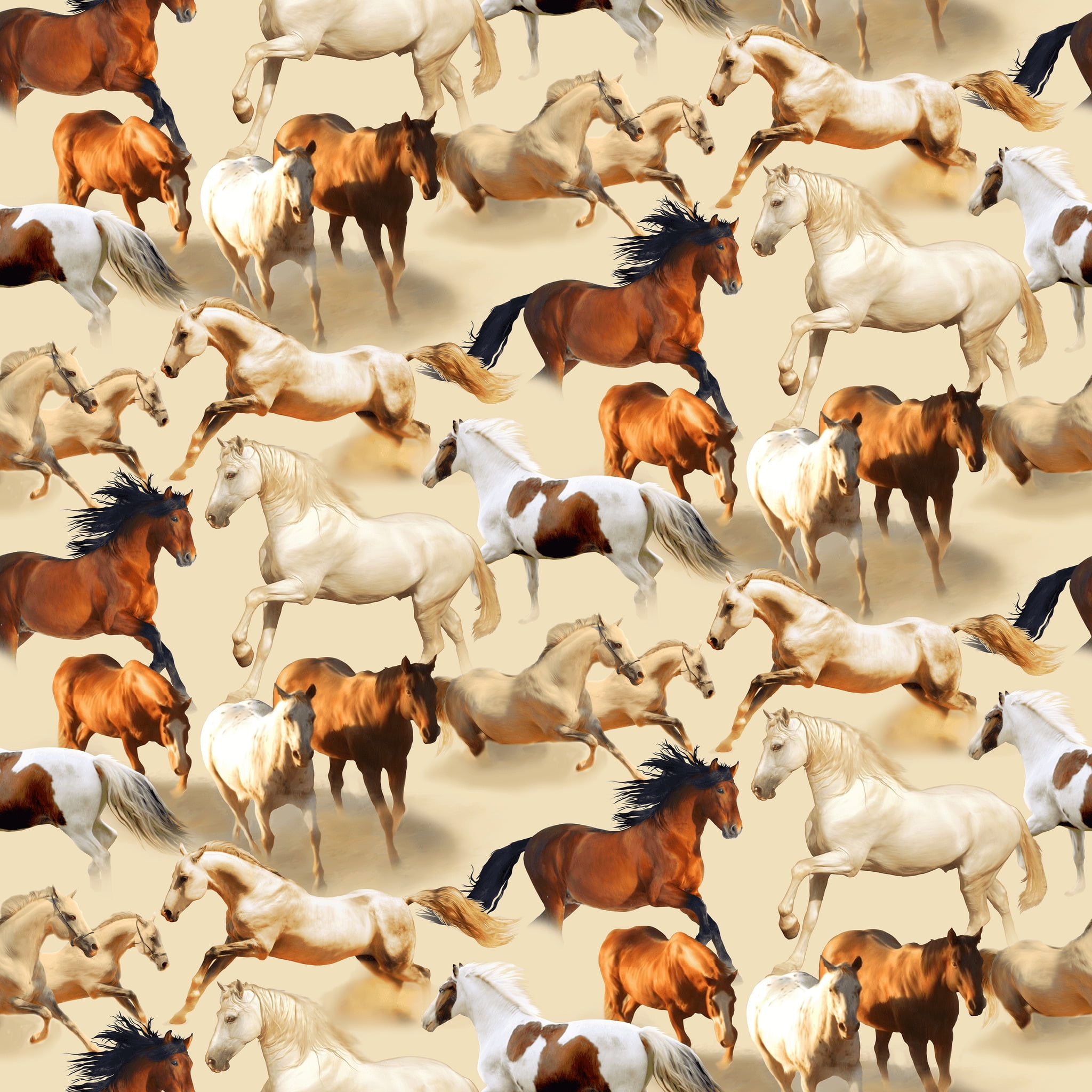Cotton Running Free Reign Horses Allover Manes Mustangs Wild Mares ...