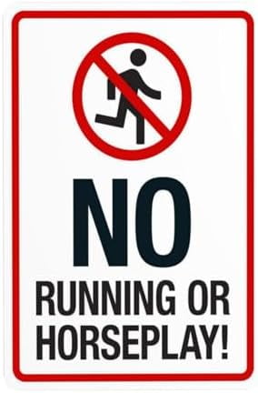 No Running Or Horseplay With Graphic Warning Sign, Pool Rules Security ...