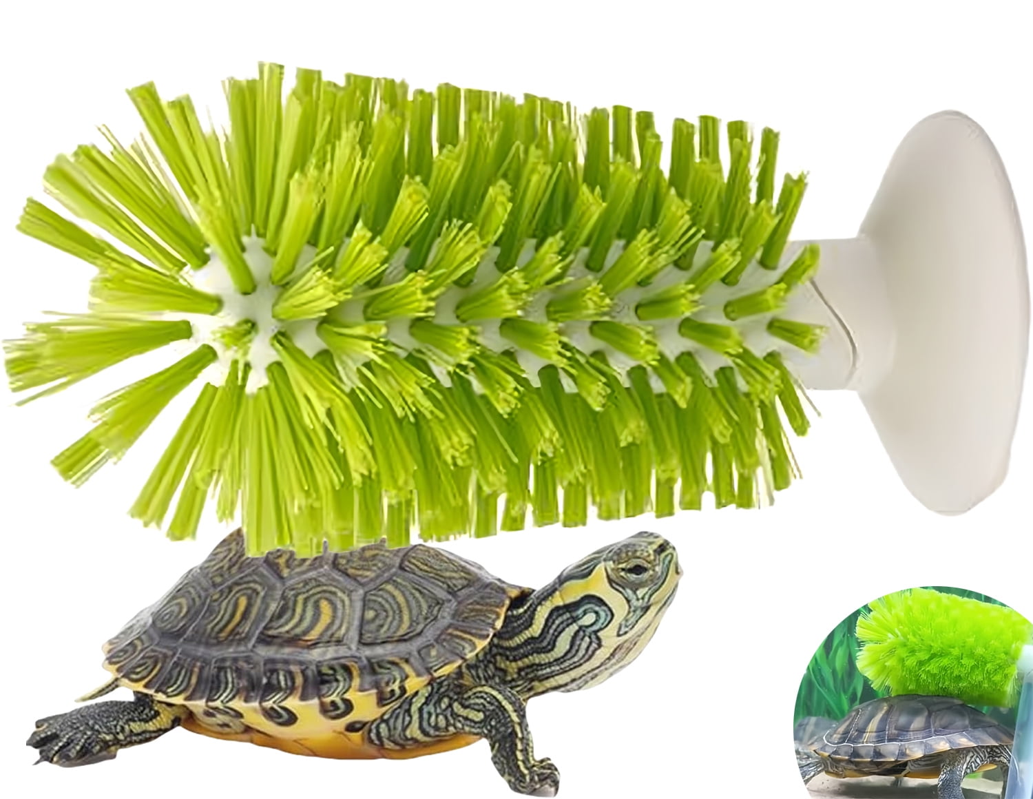 Runspich Turtle Shell Scrub Bristle Brush With Suction Cup,Aquatic ...
