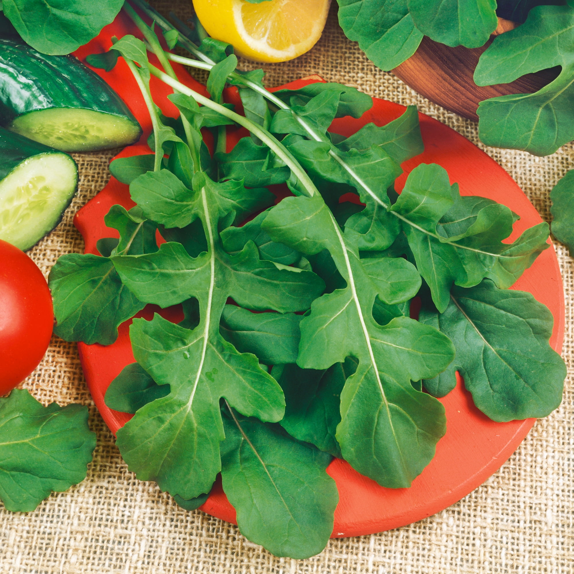 Runway Arugula Seeds - 1 Oz ~14200 Seeds - Non-GMO - Vegetable / Herb ...