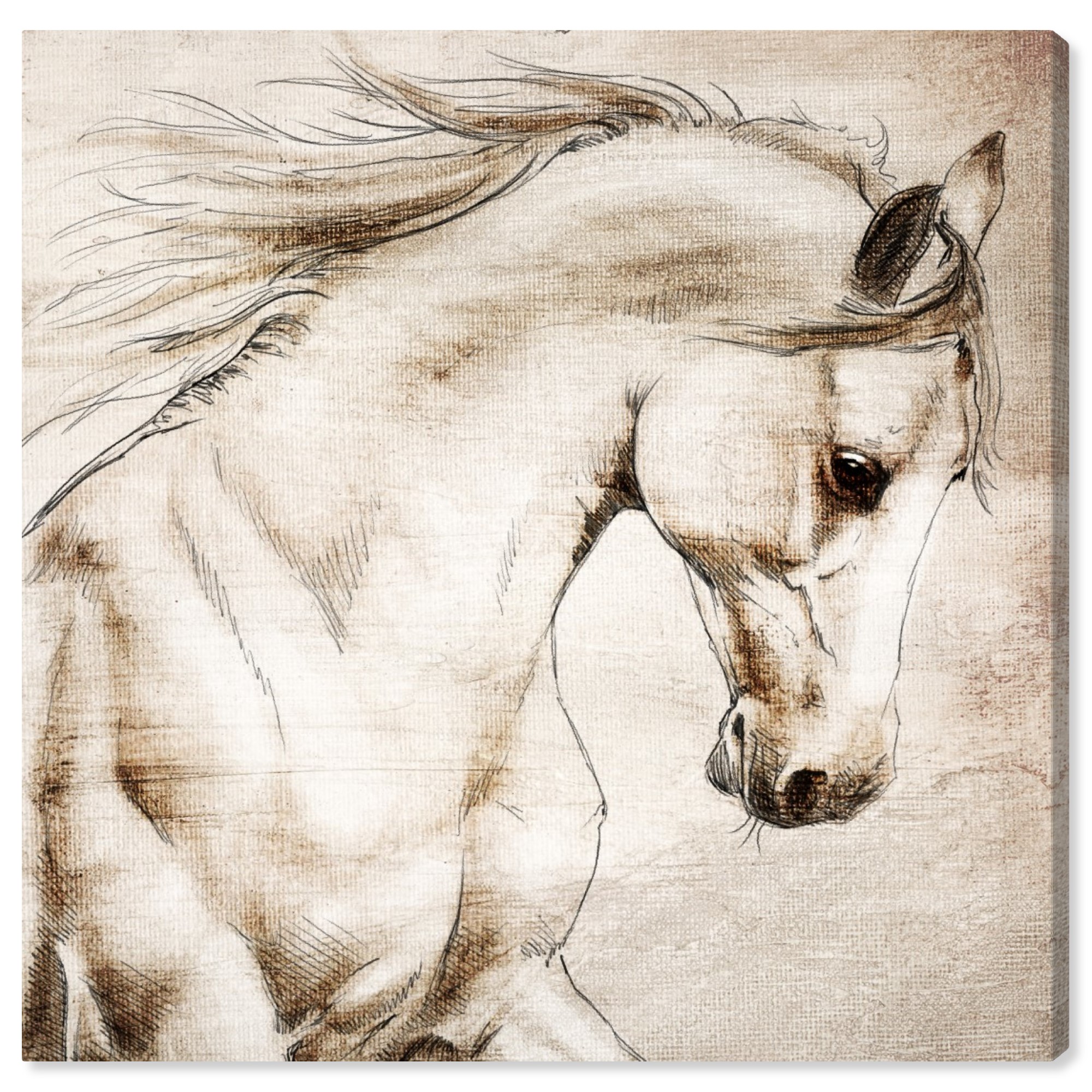 Runway Avenue Animals Wall Art Canvas Prints 'Bree' Farm Animals ...