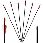 TenPoint Superbrite 20" 2219 Aluminum Arrows - Walmart.com