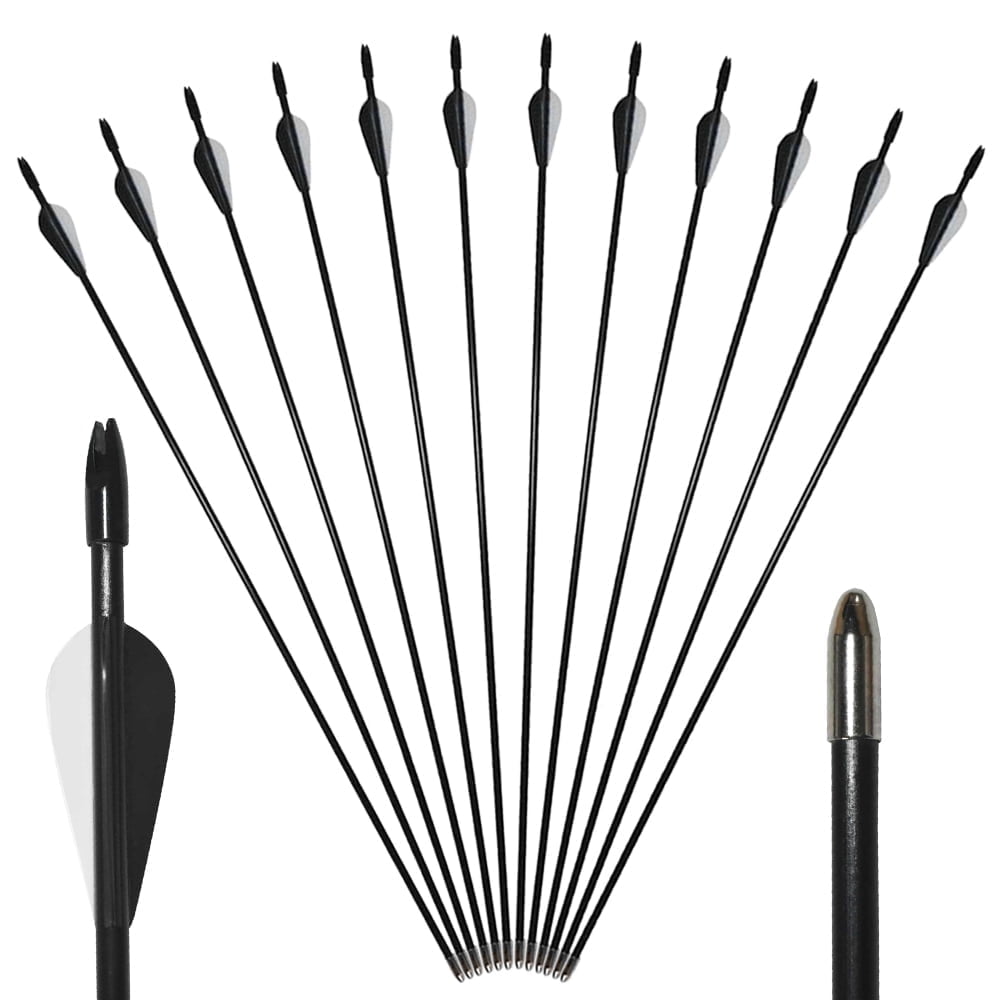 Runzkzy Metal Arrows 29 inch 6/12PCS Hunting Arrows for Bow Compound ...