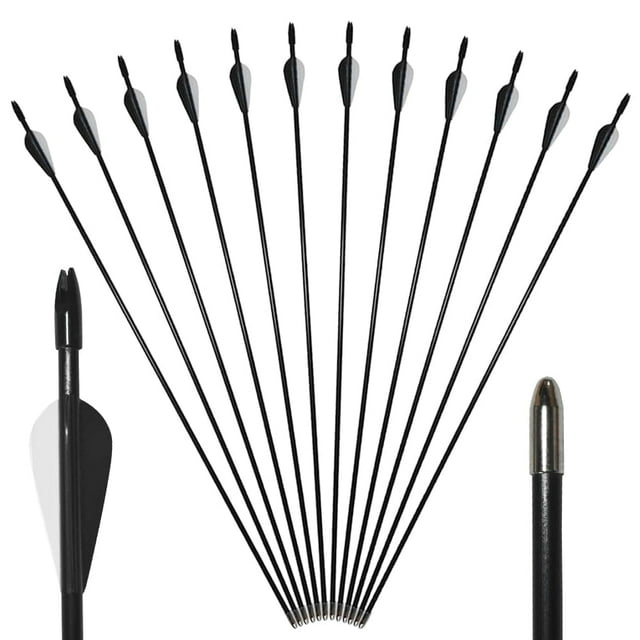 Runzkzy Metal Arrows 29 inch 6/12PCS Hunting Arrows for Bow Compound ...