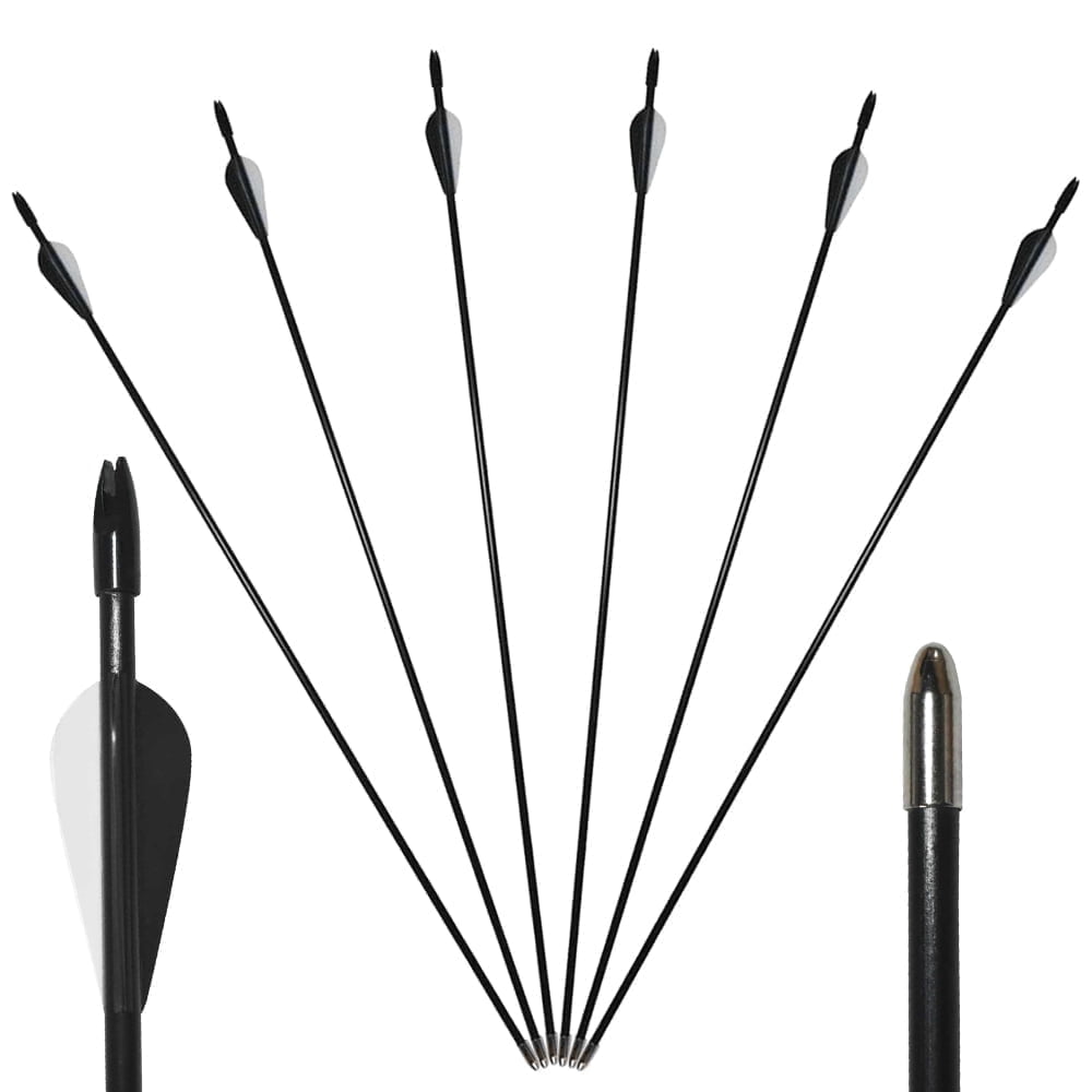 Runzkzy Metal Arrows 29 inch 6/12PCS Hunting Arrows for Bow Compound ...