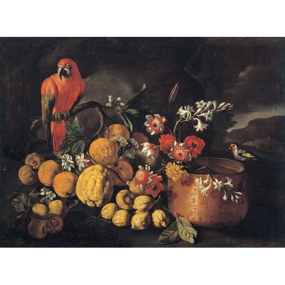 Still Life Parrot Fruit