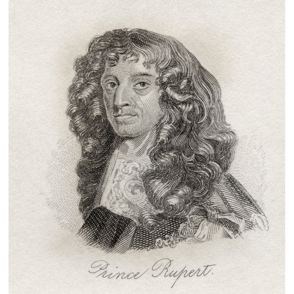 Rupert Count Palatine Of The Rhine Duke Of Bavaria Commonly Called ...