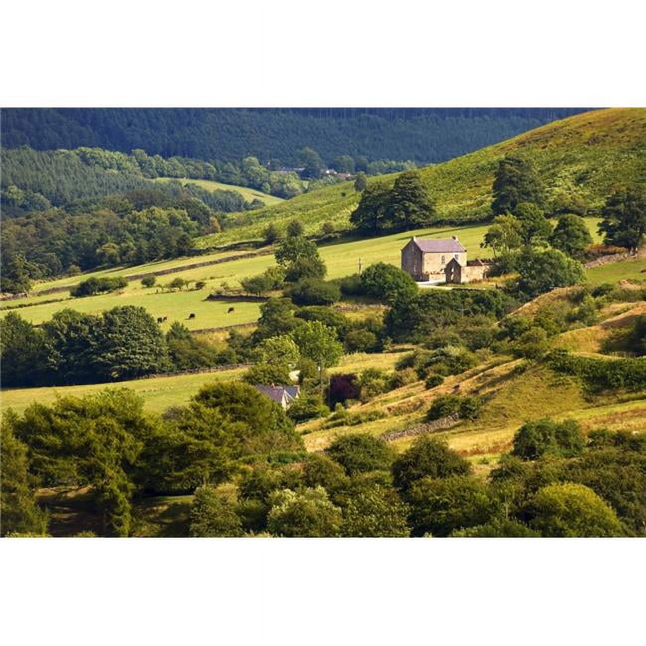 Rural Landscape; Yorkshire England Uk Poster Print - Walmart.com