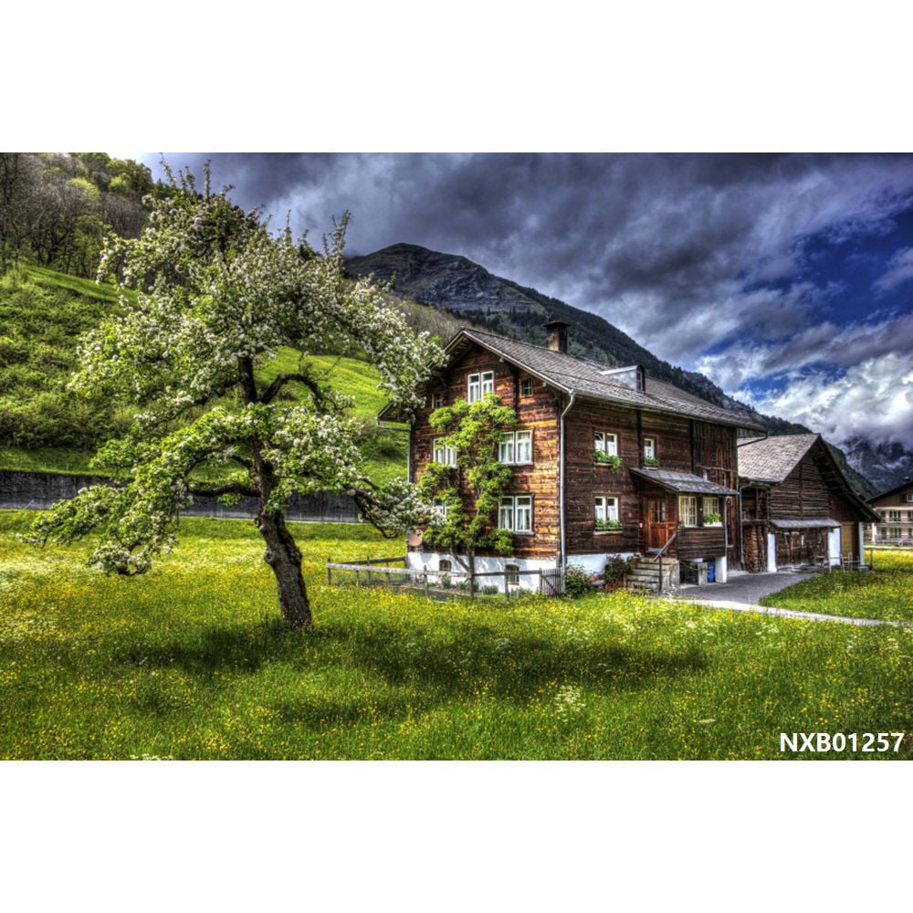 Rural Natural Landscape Photophone Mountains Grassland Photography ...