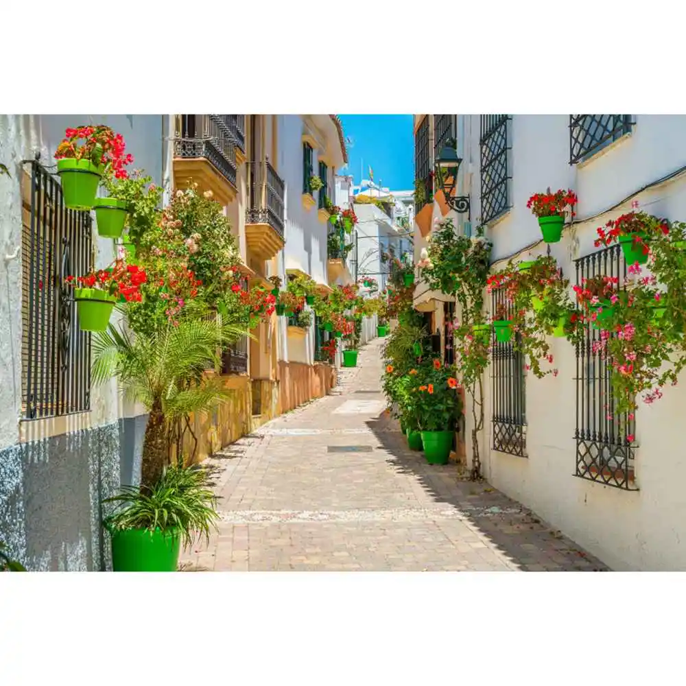 Rural Town Spring Village Country Photography Backdrop Gard Flower ...