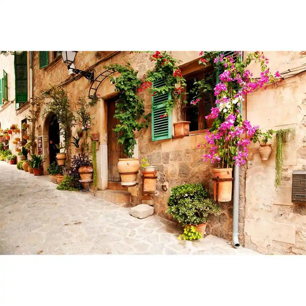 Rural Town Spring Village Country Photography Backdrop Gard Flower ...