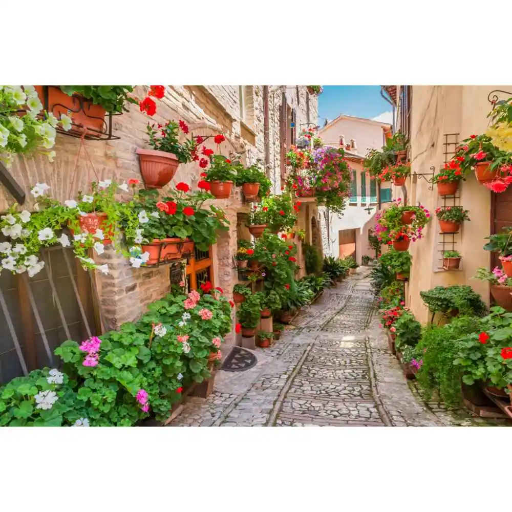 Rural Town Spring Village Country Photography Backdrop Gard Flower ...