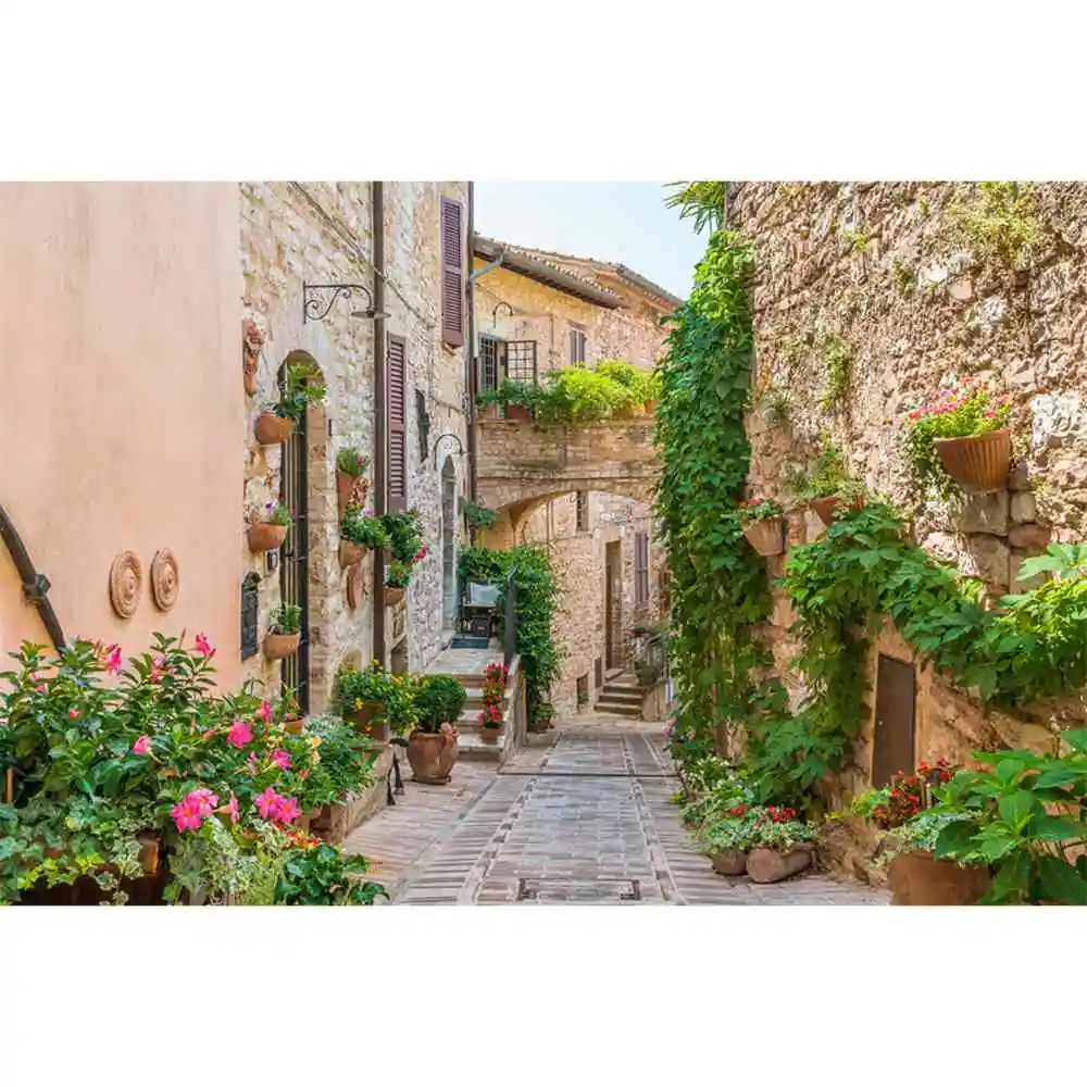Rural Town Spring Village Country Photography Backdrop Gard Flower ...