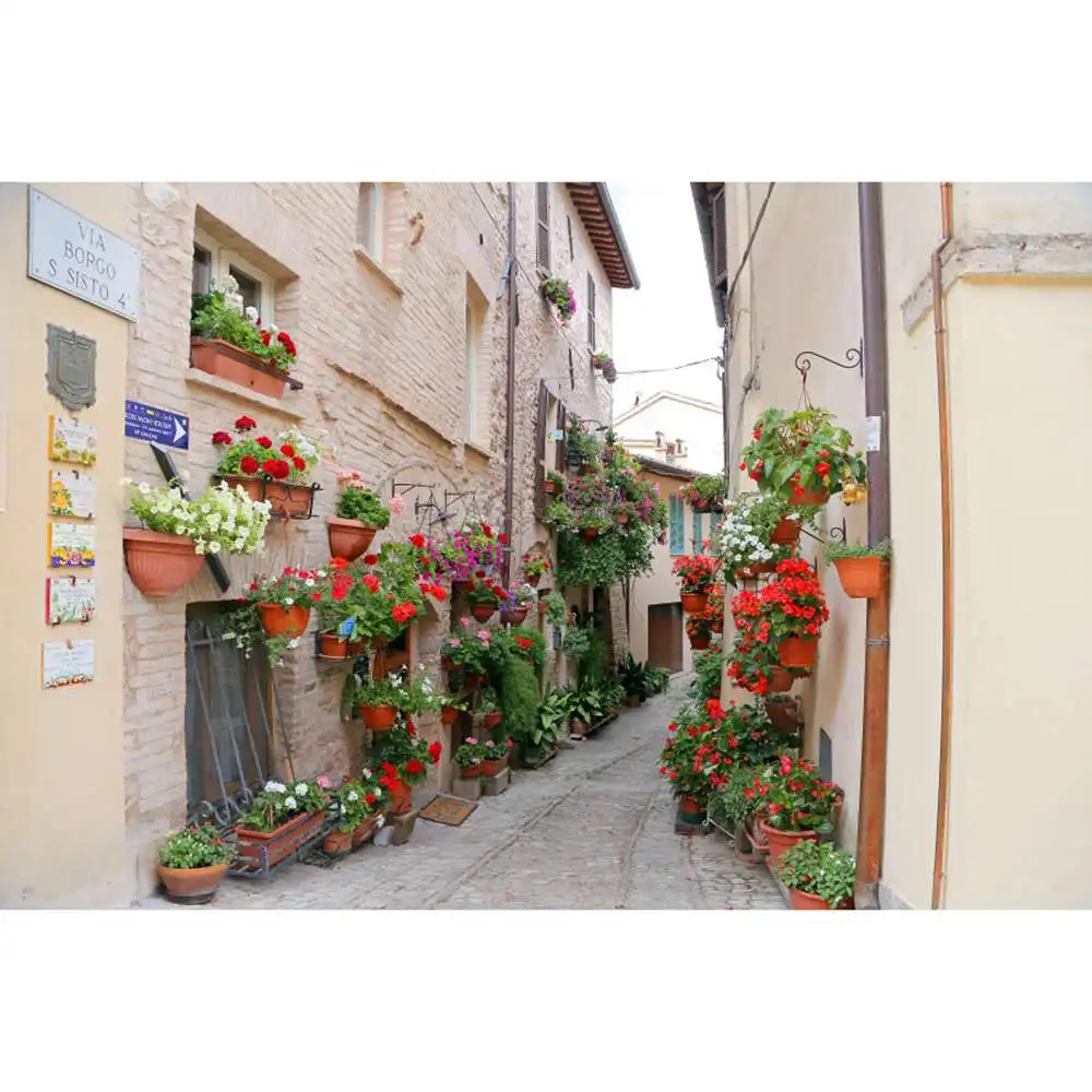 Rural Town Spring Village Country Photography Backdrop Gard Flower ...