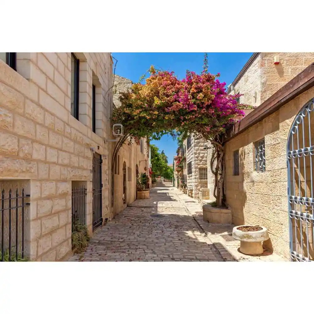 Rural Town Spring Village Country Photography Backdrop Gard Flower ...