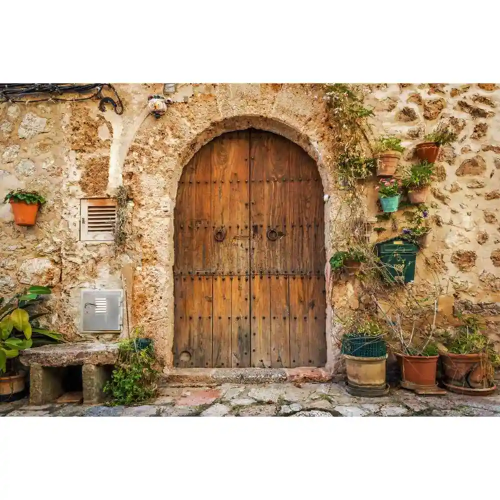 Rural Town Spring Village Country Photography Backdrop Gard Flower ...
