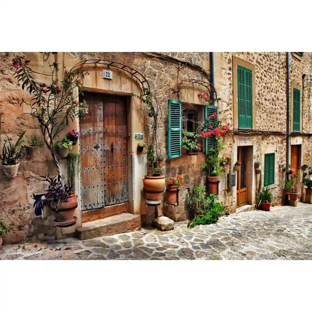Rural Town Spring Village Country Photography Backdrop Gard Flower ...