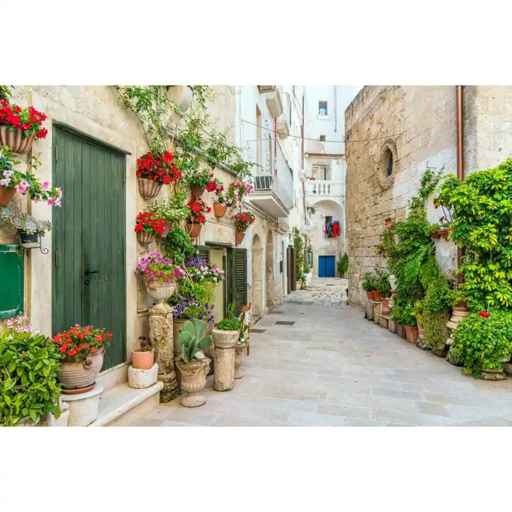 Rural Town Spring Village Country Photography Backdrop Gard Flower ...