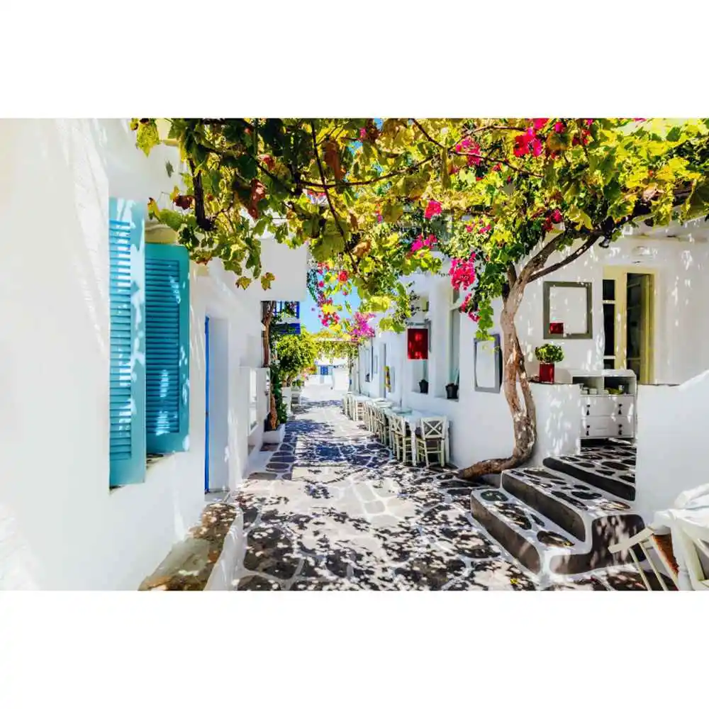 Rural Town Spring Village Country Photography Backdrop Gard Flower ...
