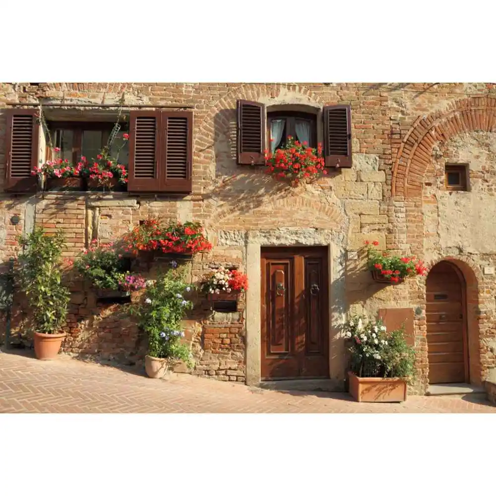 Rural Town Spring Village Country Photography Backdrop Gard Flower ...