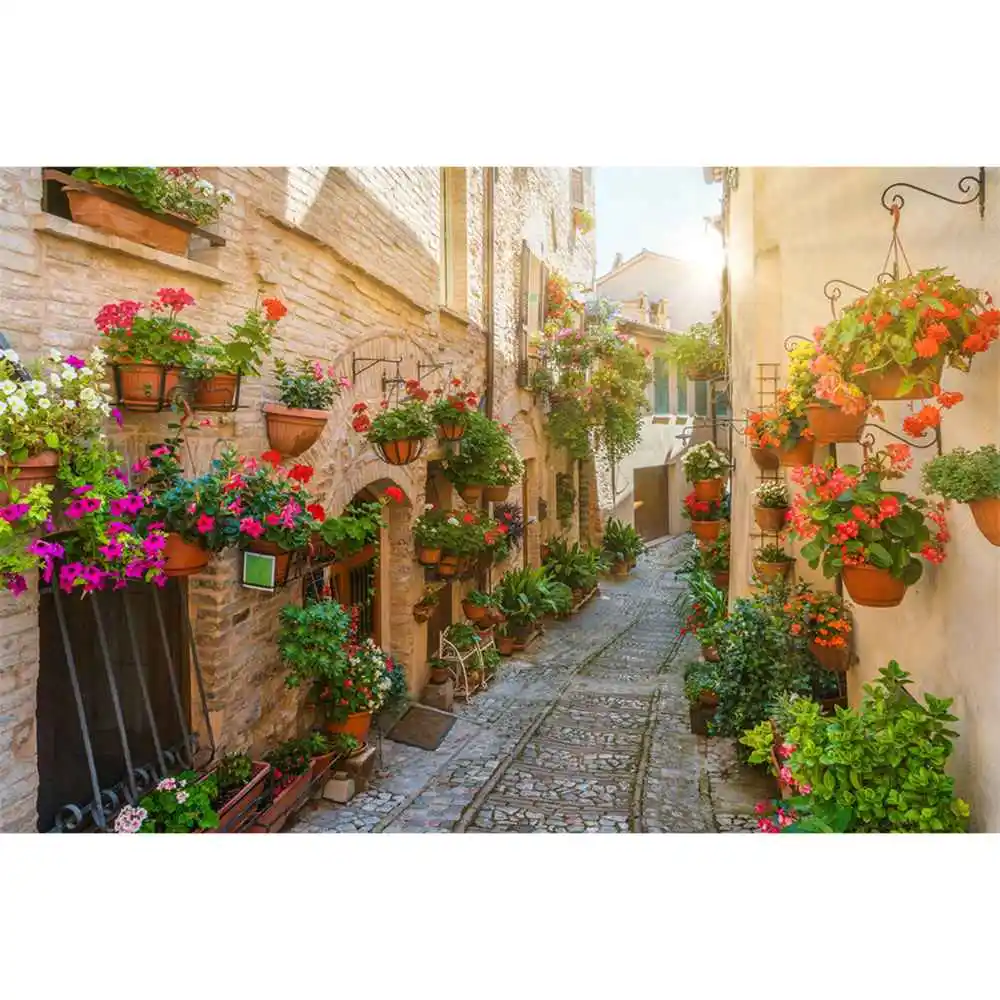 Rural Town Spring Village Country Photography Backdrop Gard Flower ...