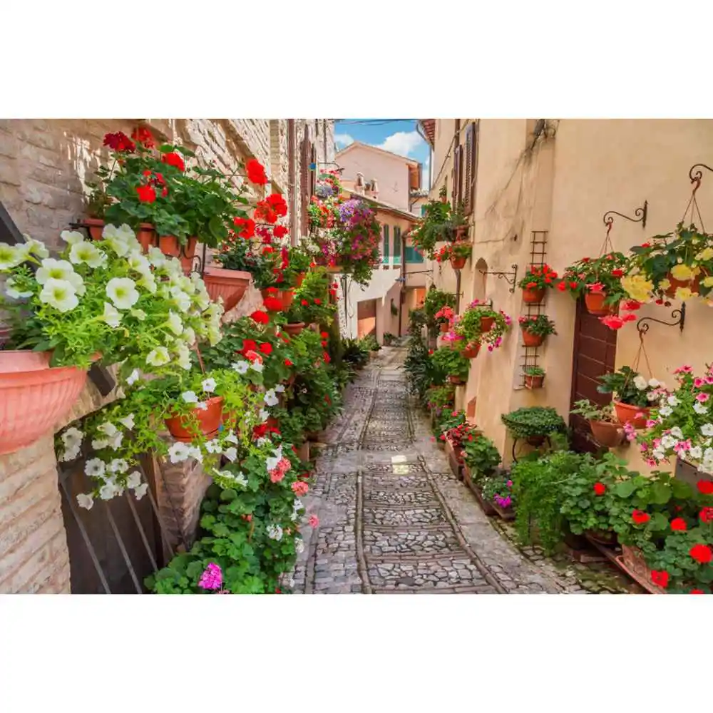 Rural Town Spring Village Country Photography Backdrop Gard Flower ...