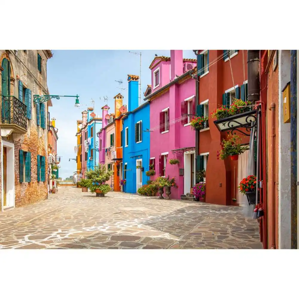 Rural Town Spring Village Country Photography Backdrop Gard Flower ...