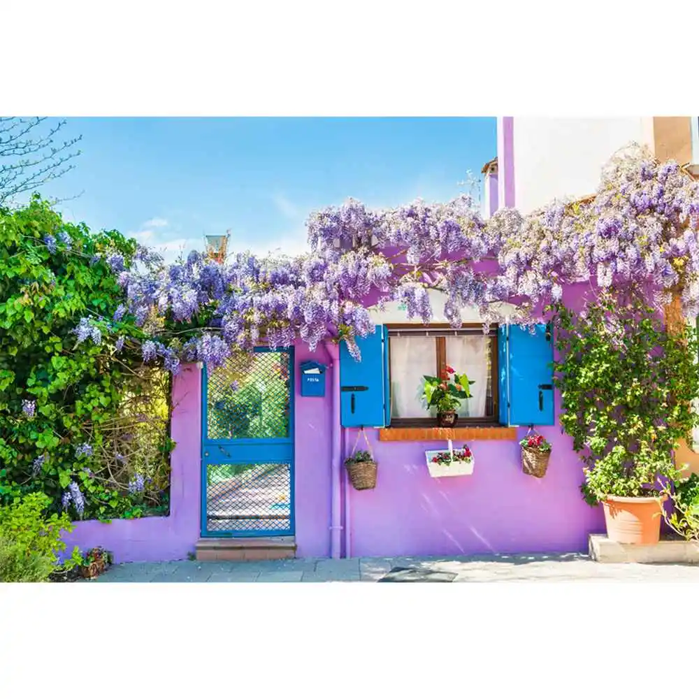 Rural Town Spring Village Country Photography Backdrop Gard Flower ...