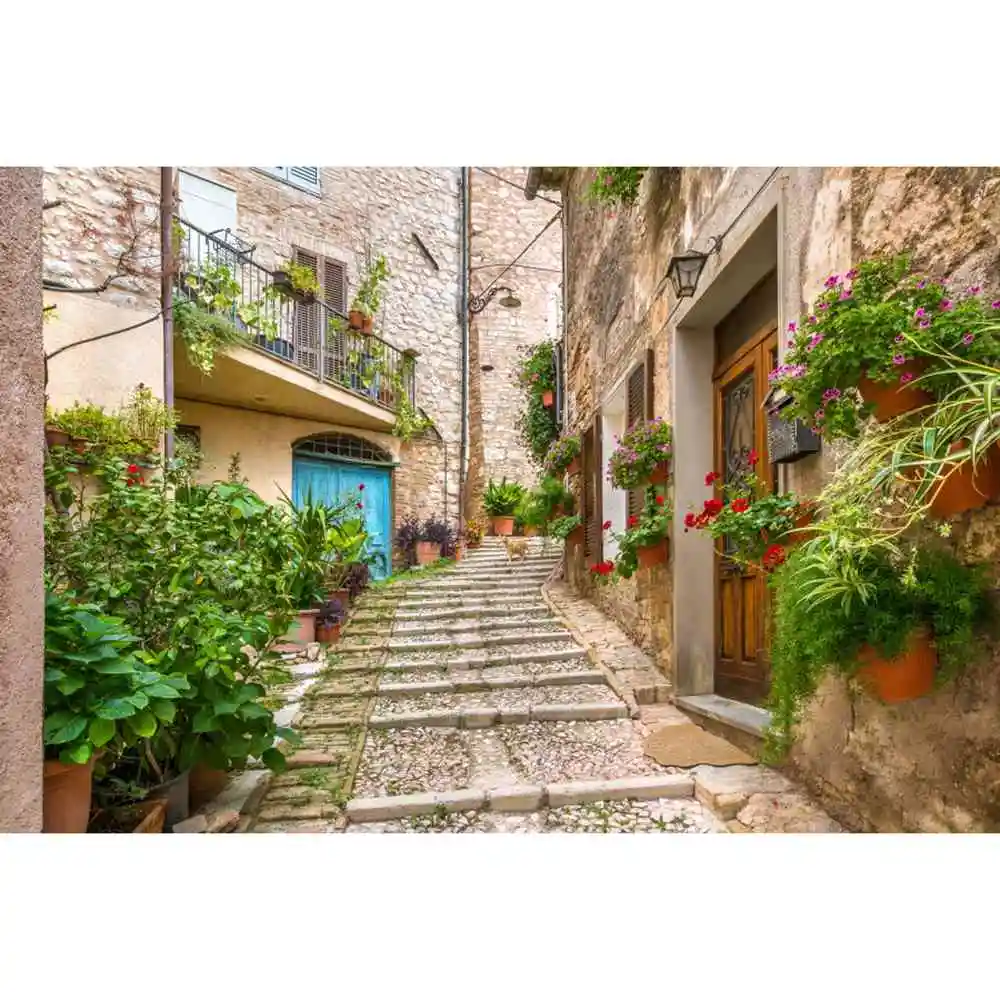 Rural Town Spring Village Country Photography Backdrop Gard Flower ...
