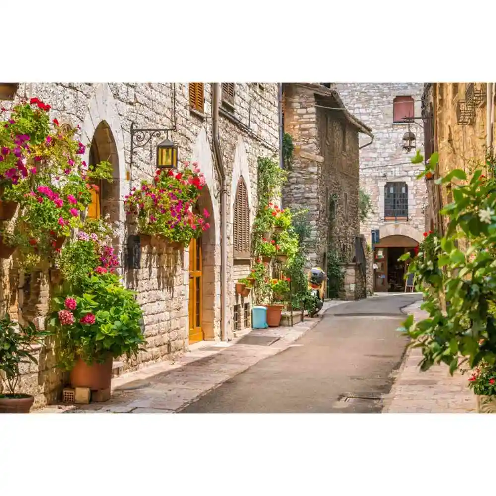 Rural Town Spring Village Country Photography Backdrop Gard Flower ...