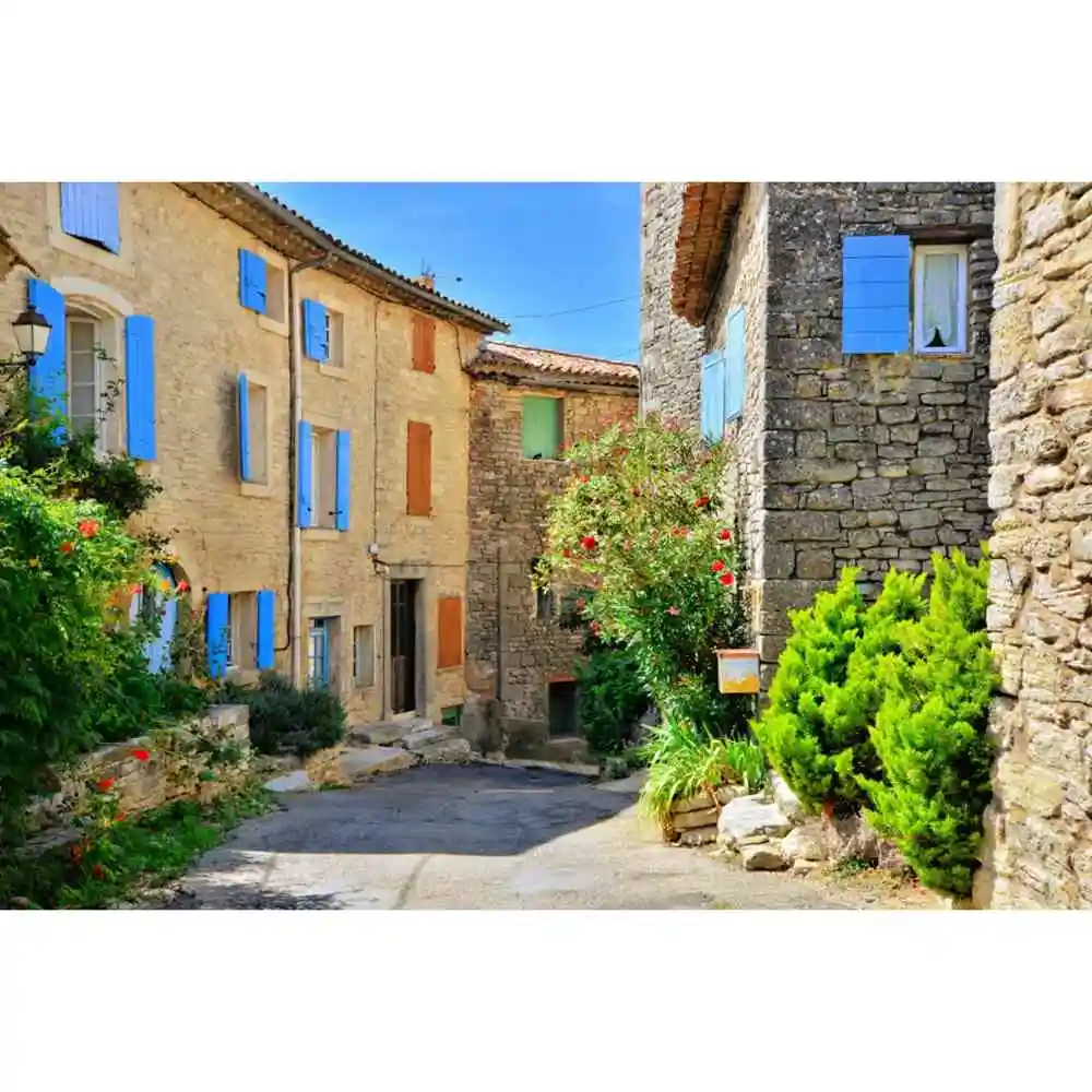 Rural Town Spring Village Country Photography Backdrop Gard Flower ...