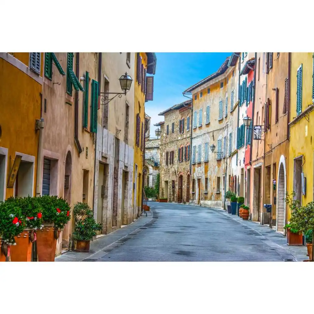 Rural Town Spring Village Country Photography Backdrop Gard Flower ...