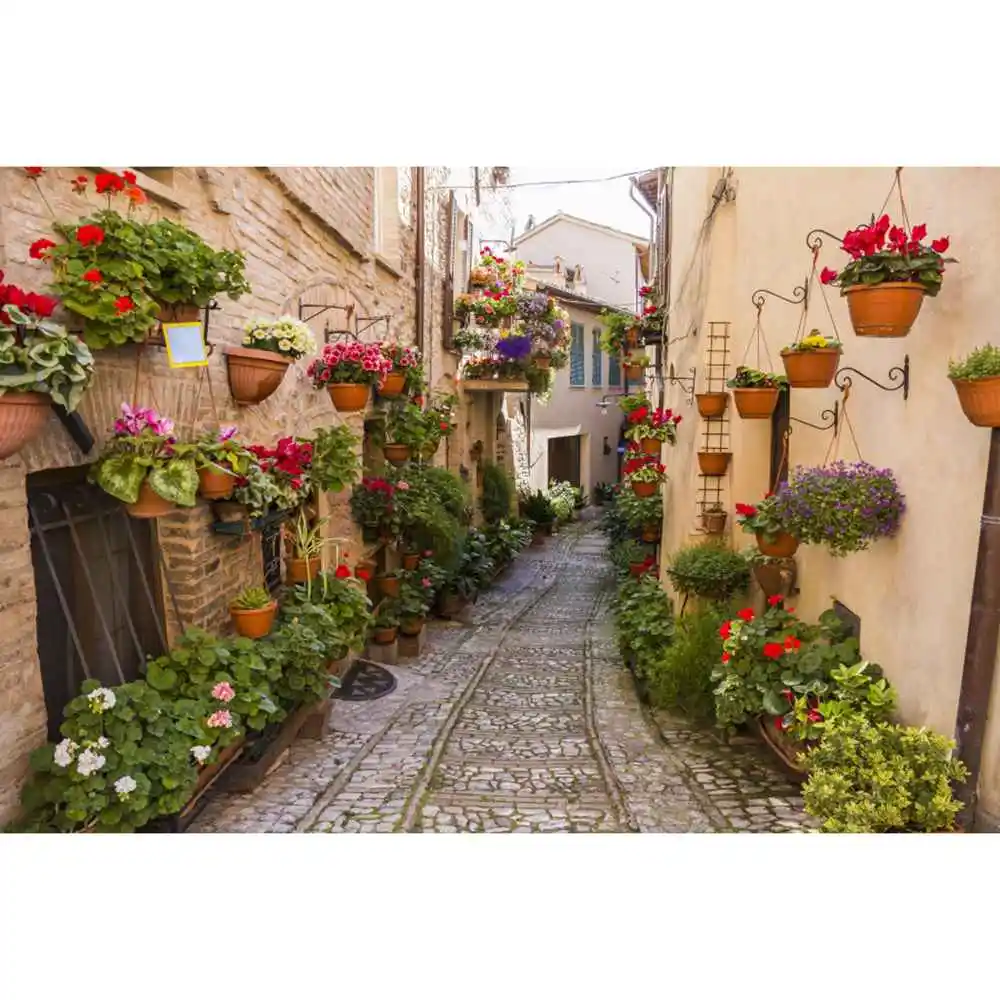 Rural Town Spring Village Country Photography Backdrop Gard Flower ...