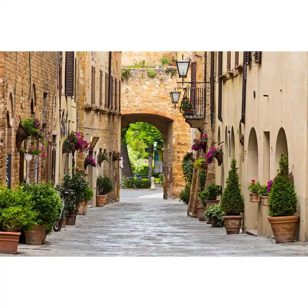 Rural Town Spring Village Country Photography Backdrop Gard Flower ...