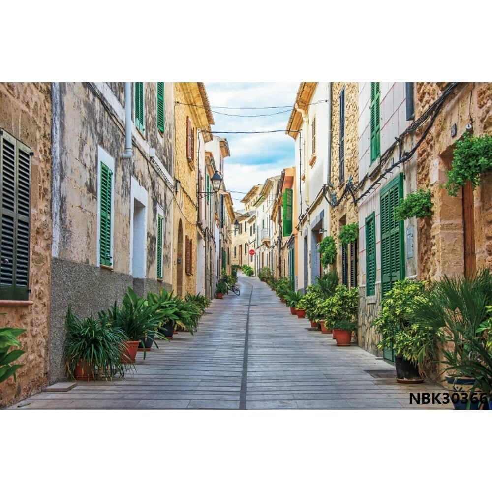 Rural Village Old House Porch Potted Plants Flowers Shop Children Baby ...