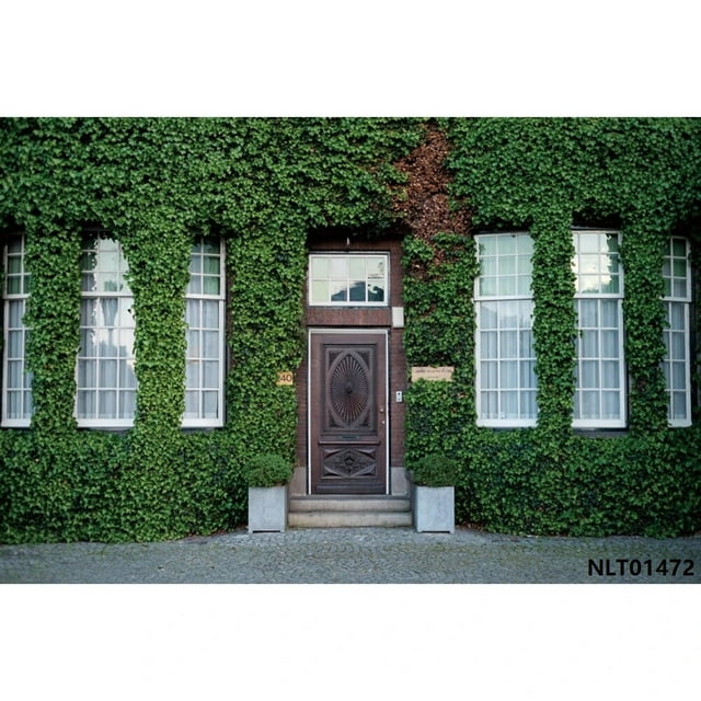 Rural Village Old House Porch Potted Plants Flowers Shop Children Baby ...