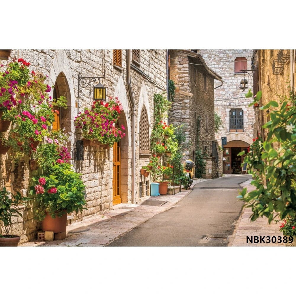 Rural Village Old House Porch Potted Plants Flowers Shop Children Baby ...