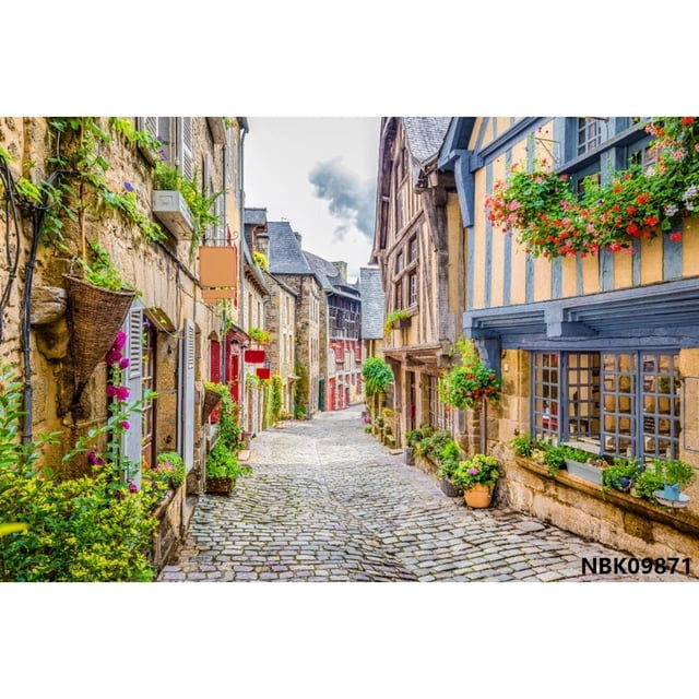 Rural Village Old House Porch Potted Plants Flowers Shop Children Baby ...