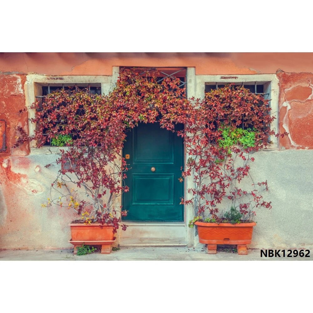 Rural Village Old House Porch Potted Plants Flowers Shop Children Baby ...